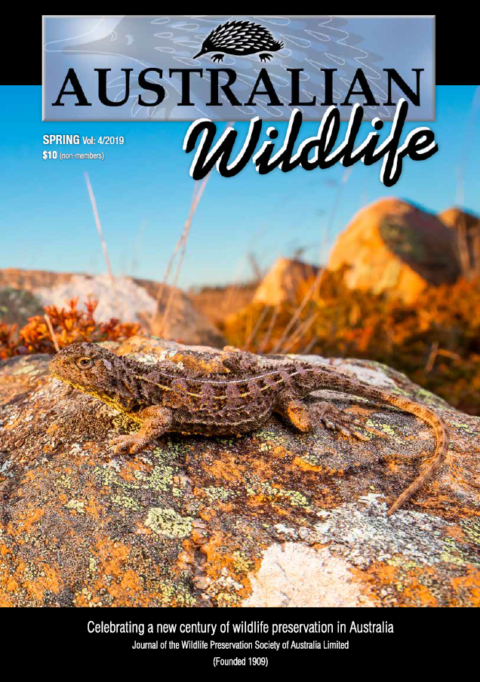 Magazine | Australian Wildlife Society