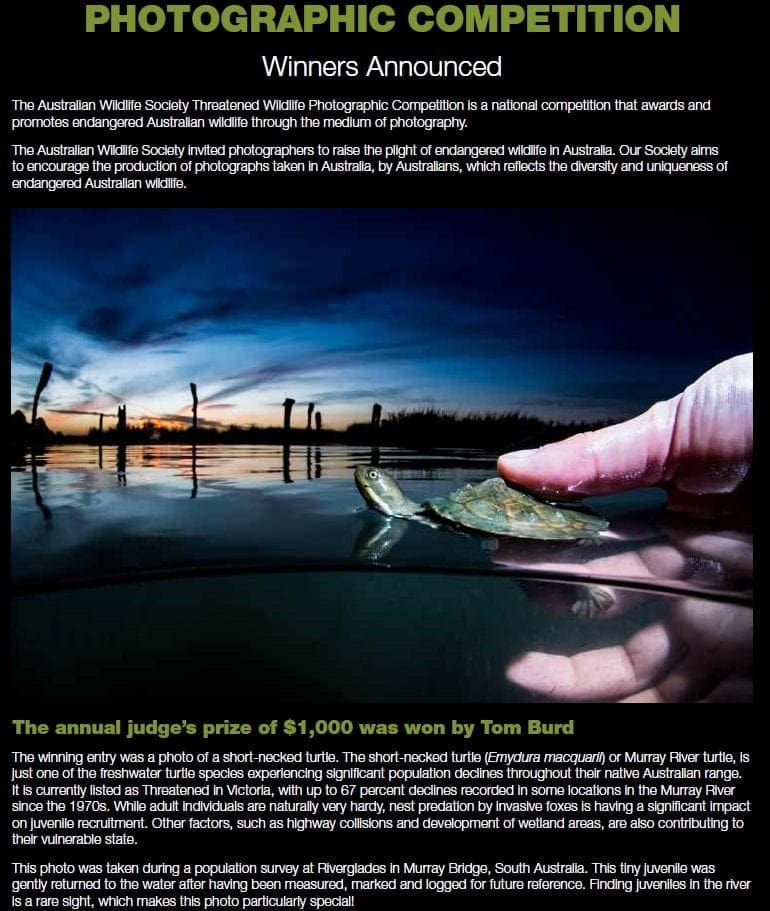 2018 photo competition | Australian Wildlife Society