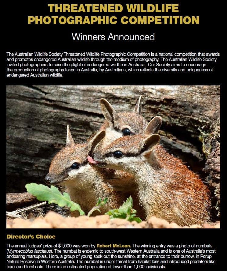 2019 Threatened Wildlife Photographic Competition | Australian Wildlife ... 2019 Threatened Wildlife Photographic Competition | Australian Wildlife ...