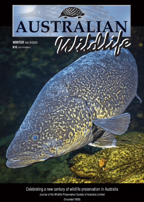 Magazine | Australian Wildlife Society