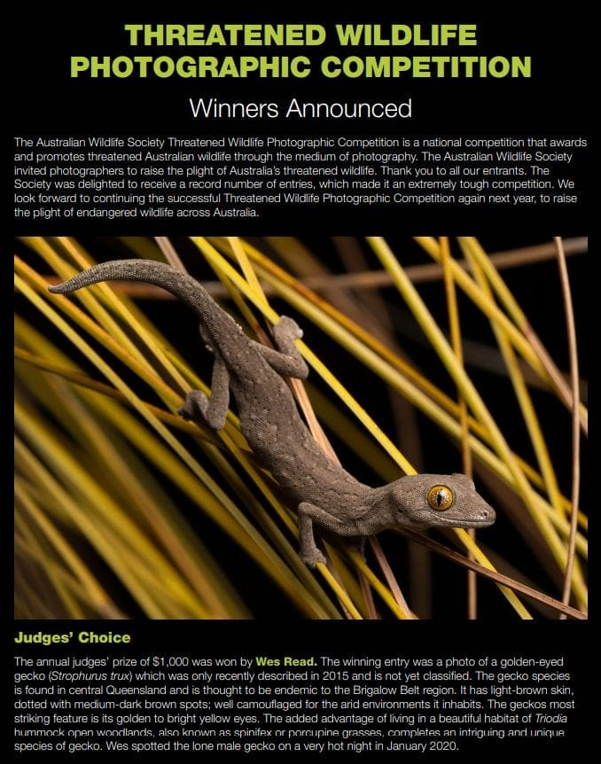 2020 Threatened Wildlife Photographic Competition | Australian Wildlife ...