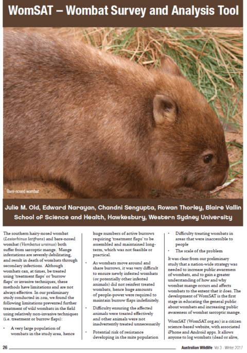 Wombat | Australian Wildlife Society