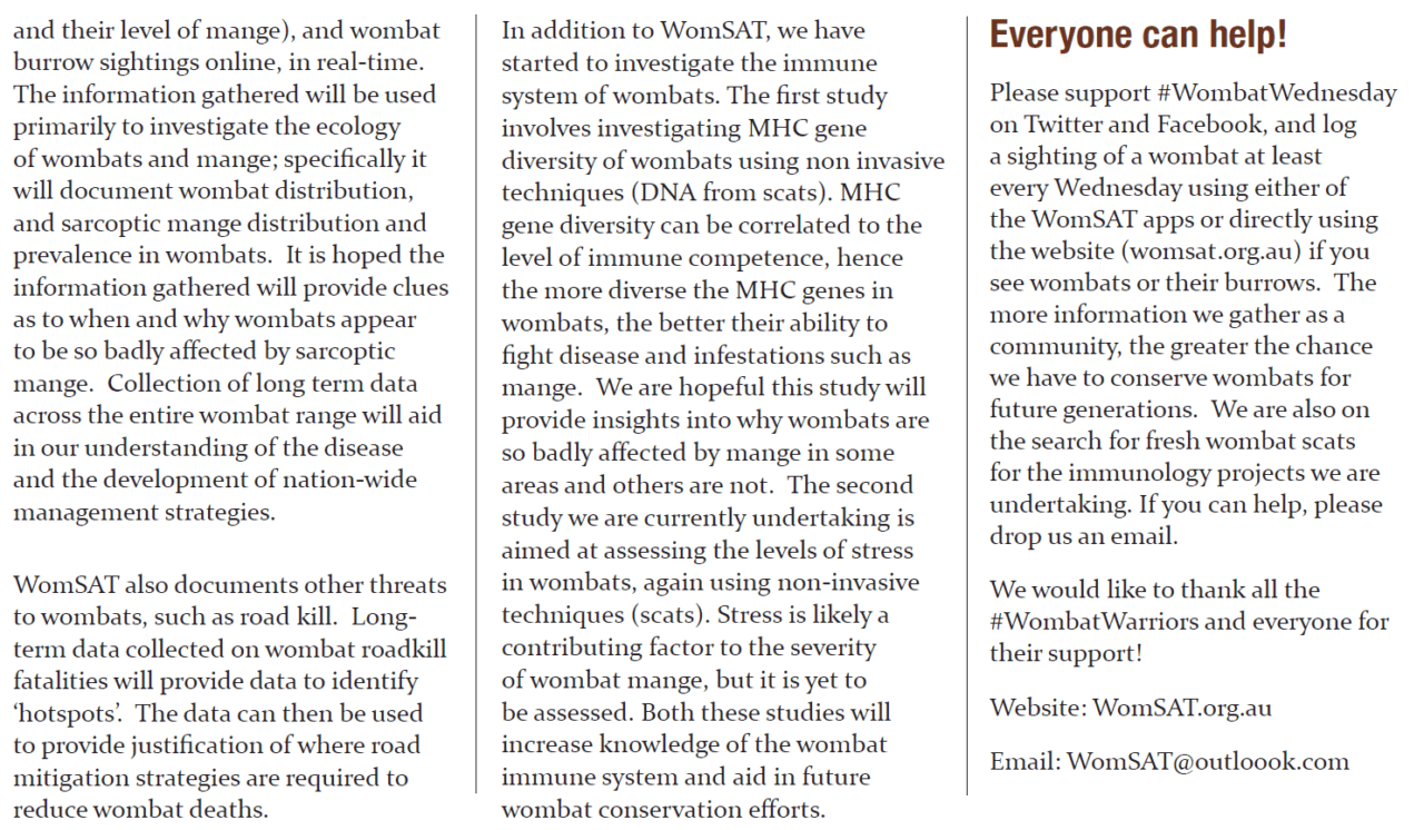 Wombat - Australian Wildlife Society