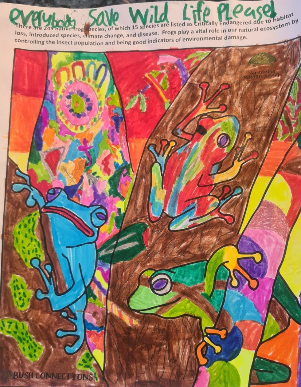 National colouring-in competition | Australian Wildlife Society