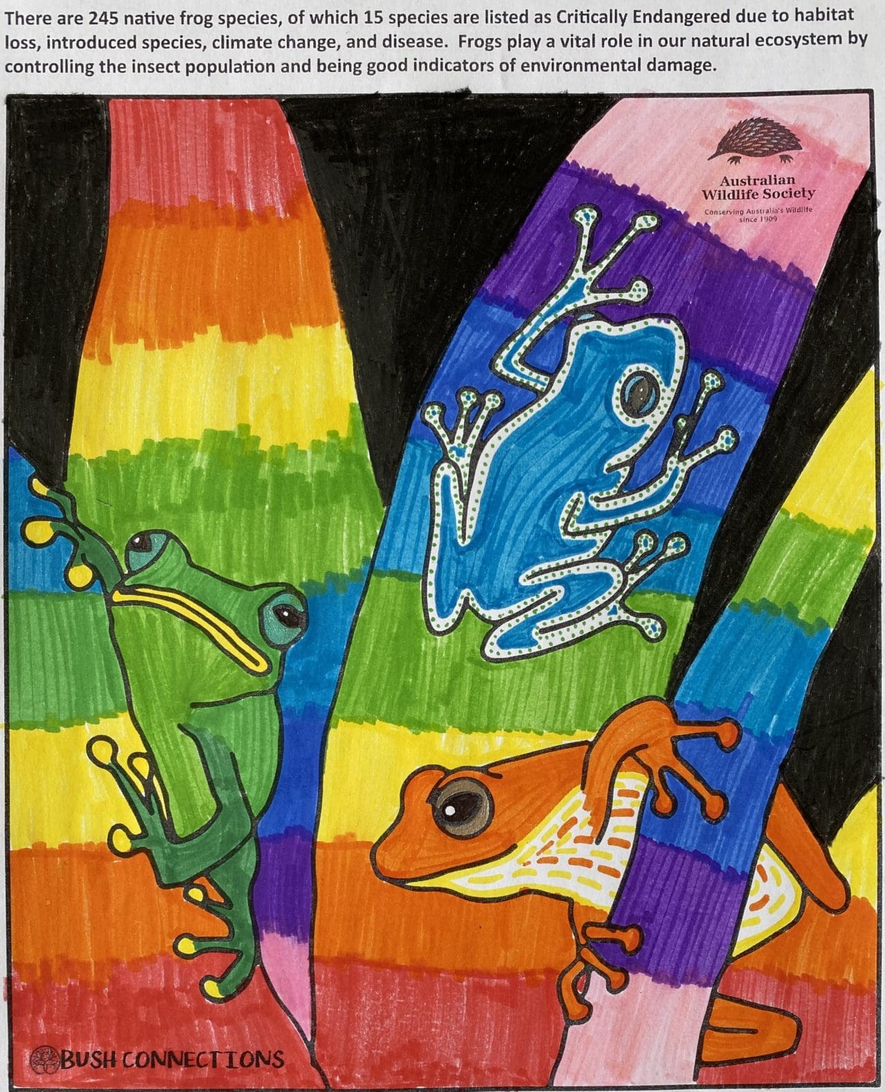 National colouring-in competition | Australian Wildlife Society
