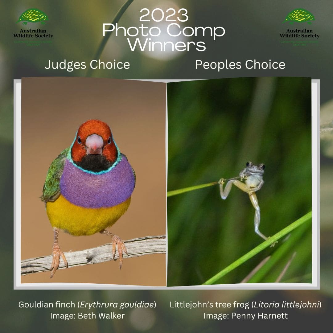 2023 Threatened Wildlife Photographic Competition | Australian Wildlife ...