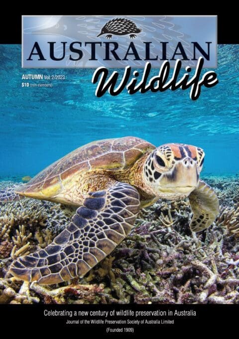 Magazine | Australian Wildlife Society