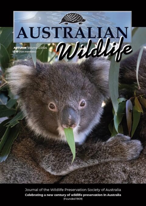 Magazine | Australian Wildlife Society